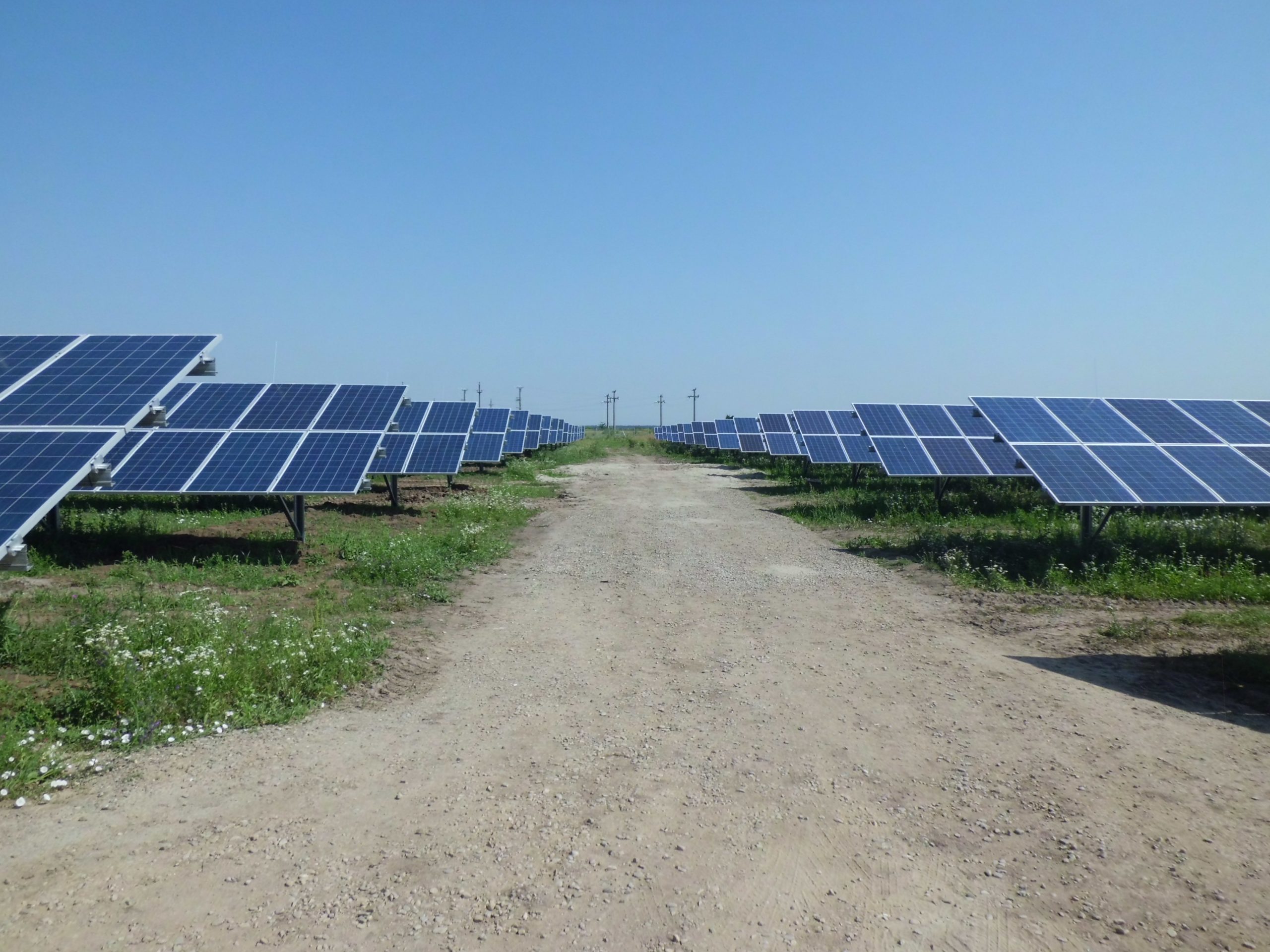 Solarpark Tartasesti | NEWDEV